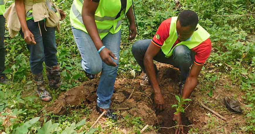 1300 indigenous tree species planted. – Vision Group